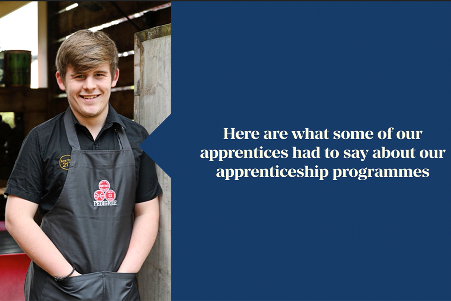 Marston's apprenticeship vacancies